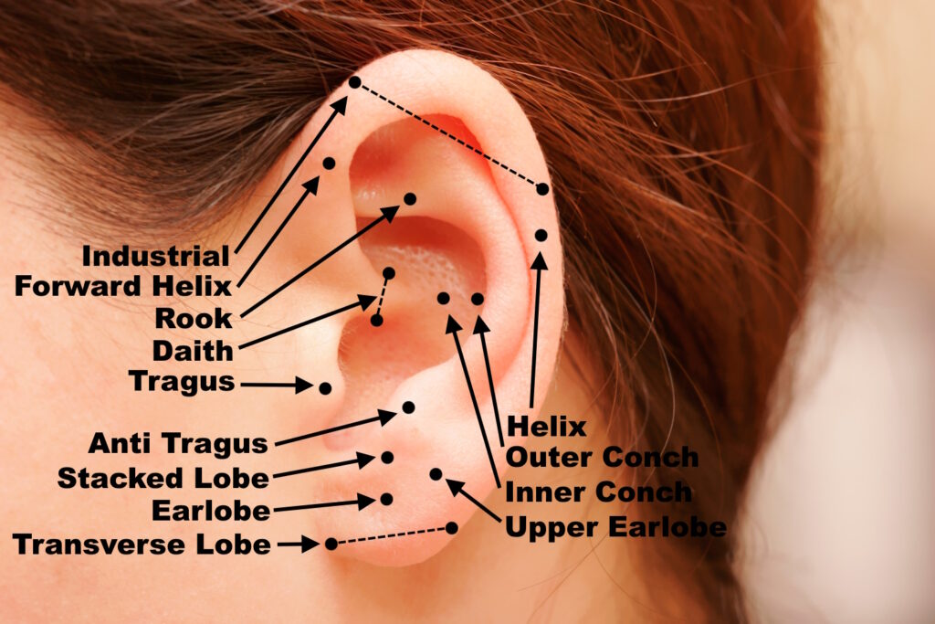 Ear Piercings: Discover The Many Styles - Piercing Ya
